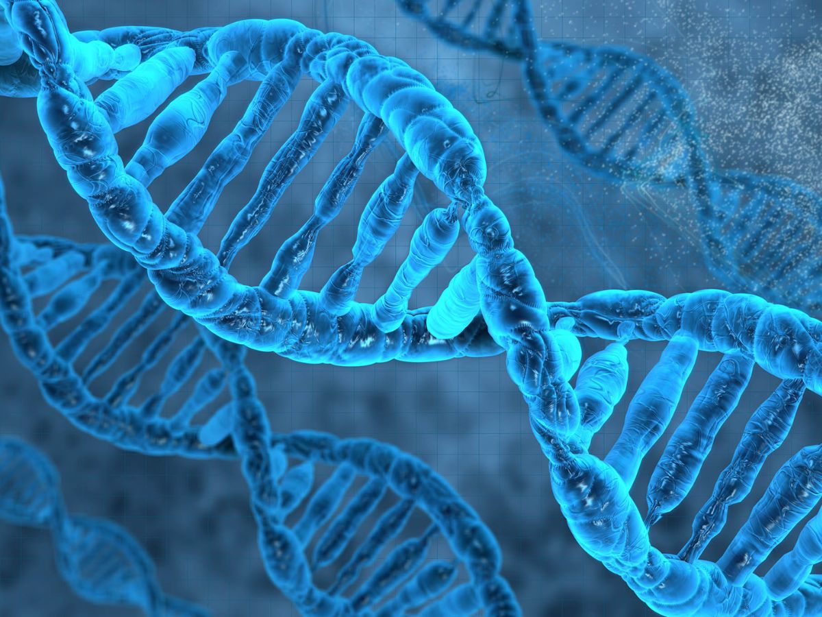 Japanese DNA Study Reveals Truth Diabetes Weight Loss Medicine Do not ...