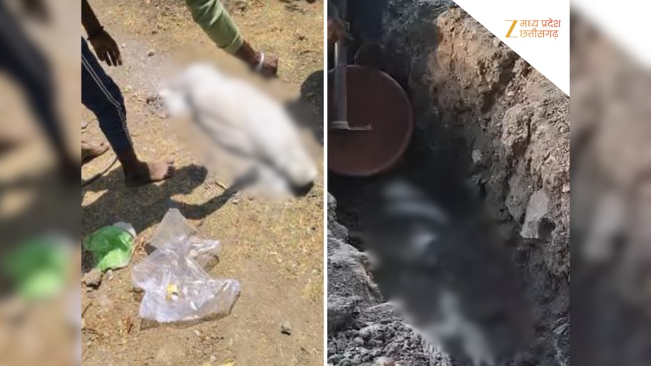 दफनाने के 4 दिन बाद कब्र से निकाला गया मासूम का शव, डॉक्टर पर लापरवाही ...