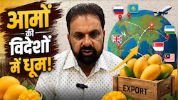 UP Mango News की ताज़ा खबरे हिन्दी में | ब्रेकिंग और लेटेस्ट न्यूज़ in ...