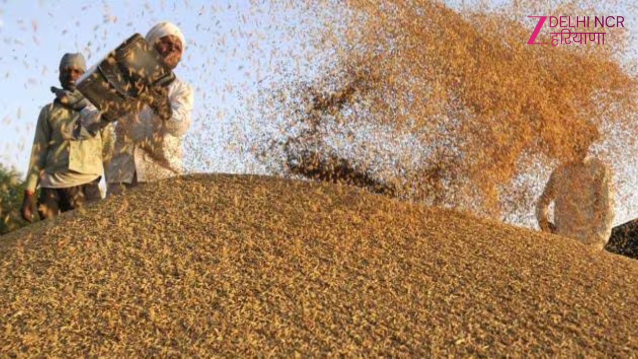 Kurukshetra News: कुरुक्षेत्र में 5.81 करोड़ के धान घोटाले पर कार्रवाई ...