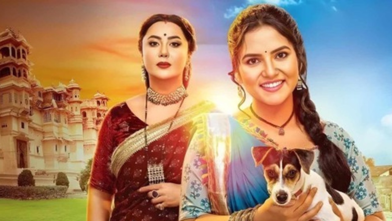 Zee tv shows vasudha to ganga mai ki betiyan daily shows marks record ...