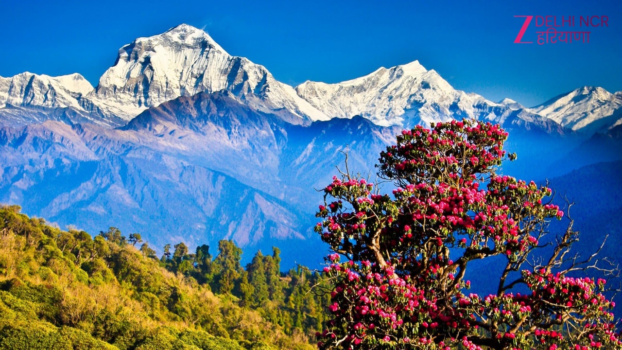 Nepal Tour: मंदिर, पहाड़ और खूबसूरत वादियां की सैर का मौका एकसाथ, IRCTC ...