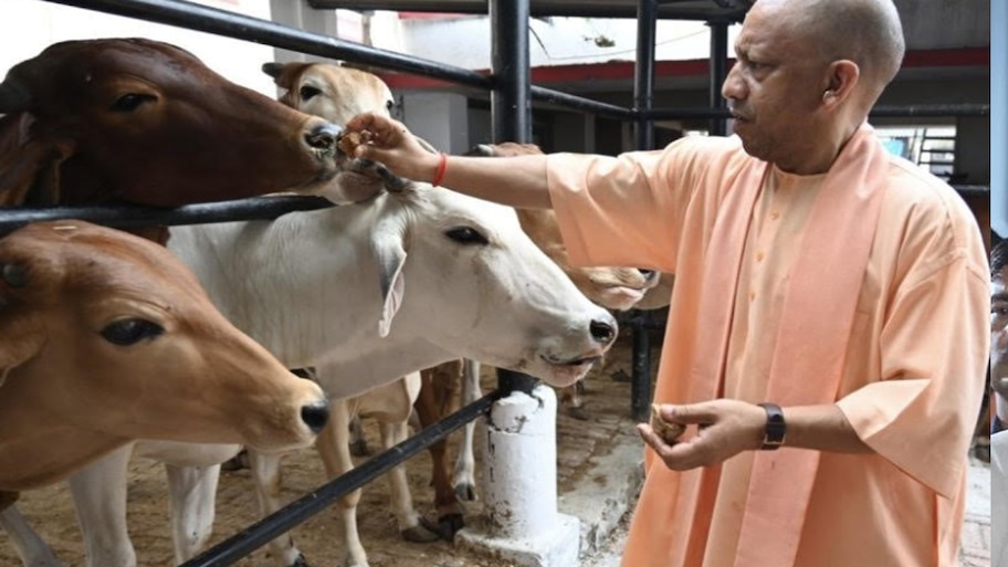 cm yogi kanpur natural farming workshop 2026 cow protection natural ...