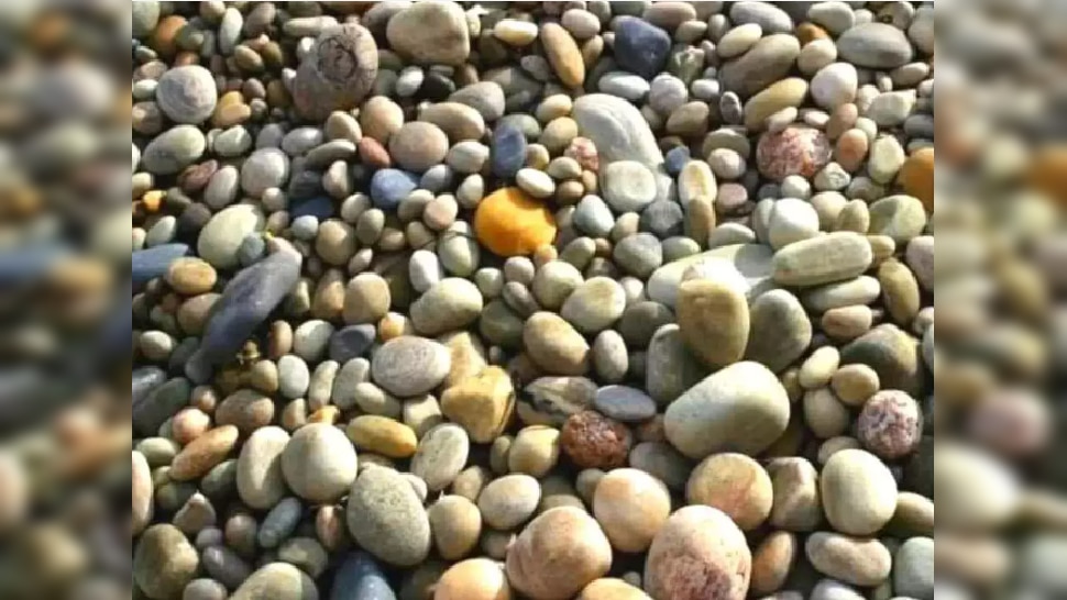 Optical illusion challenge find Crab among the stones in viral image in 10 seconds khojo to jane ...
