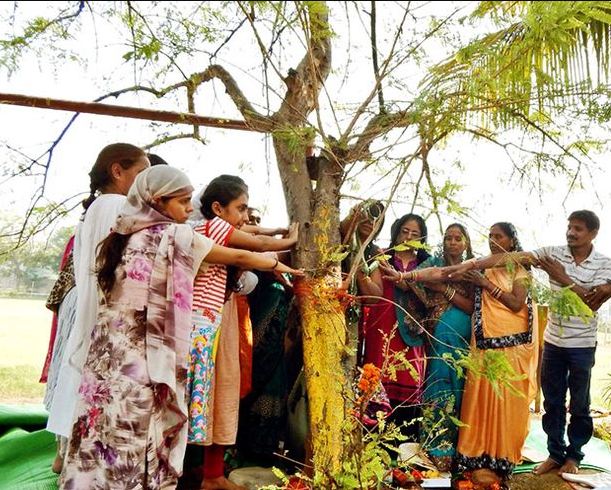 Akshaya Navami: Worshiping Amla tree will give boon of healing ...