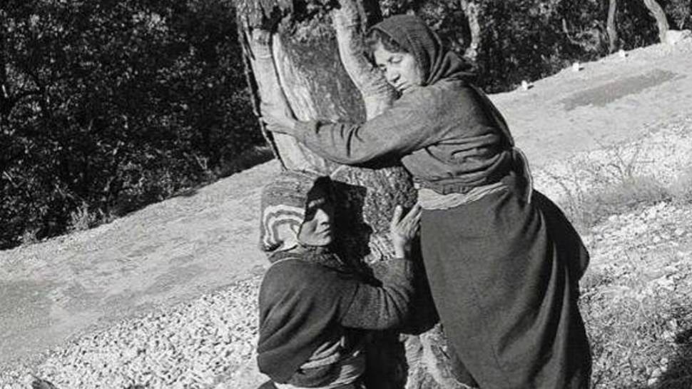 Chipko movement today 49 anniversary know all history and details about powerful women gaura ...