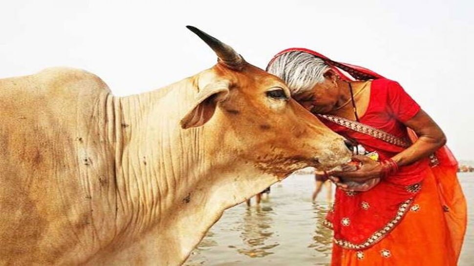 Here generations get salvation by Pind Daan Lord Rama did Shradh of ...