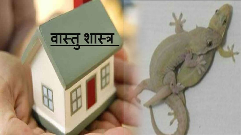 know vastu tips Different postures of Lizard tell about our future ...