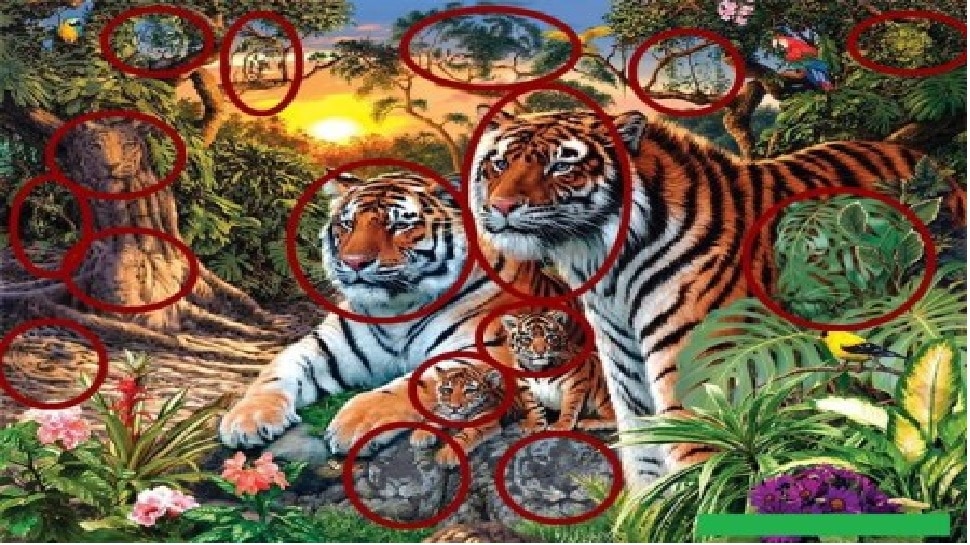 optical illusion find out 16 hidden tigers in viral picture how many ...