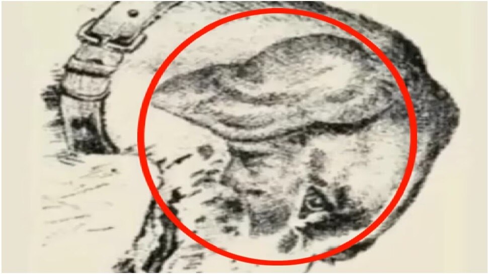 optical illusion find hidden man face in dog sketch within 8 seconds in ...