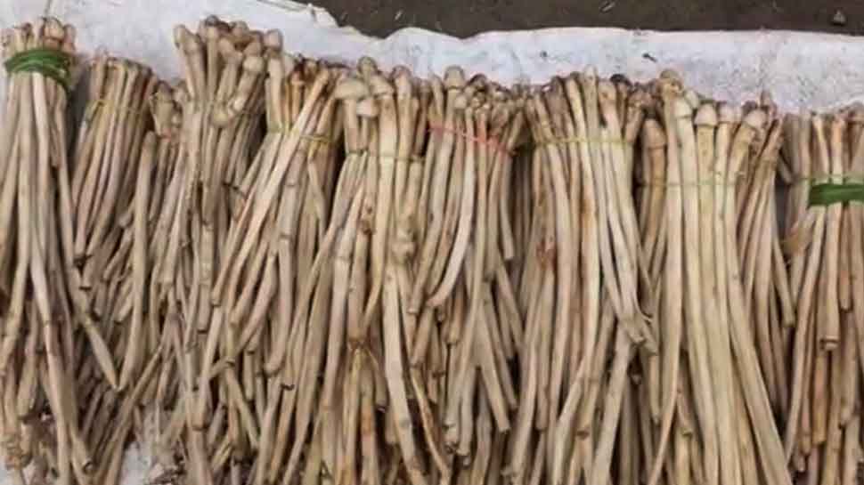 Mandla most expensive prized vegetable Pihari mashroom crowded with ...