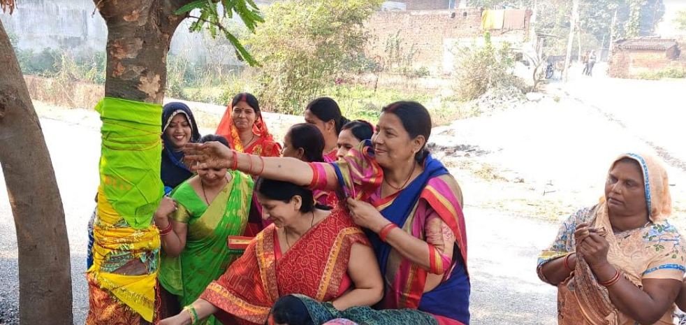 Akshaya Navami: Worshiping Amla tree will give boon of healing ...