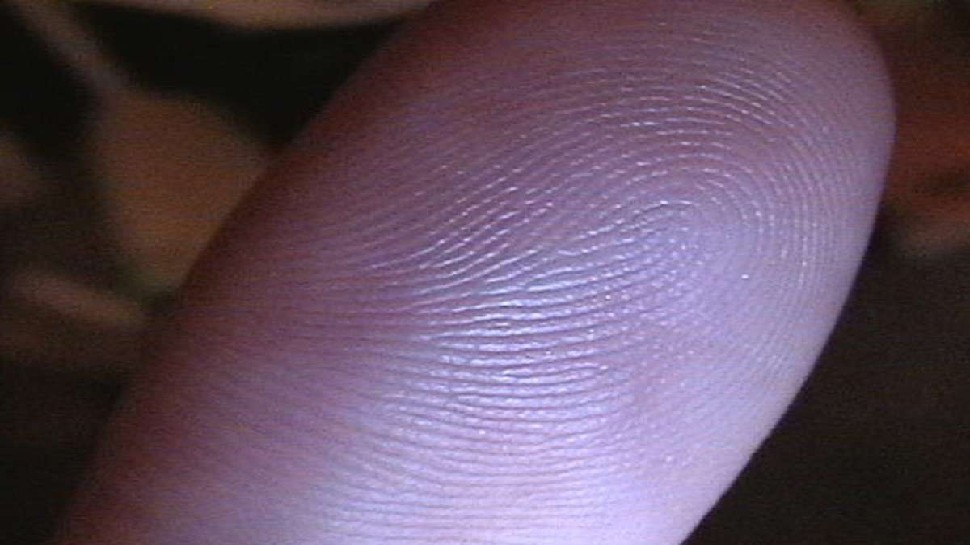 Palmistry Astrology Today Kya kehti hain aapki lakeerein Know meaning ...