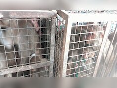 Chomu Latest News की ताज़ा खबरे हिन्दी में | ब्रेकिंग और लेटेस्ट न्यूज़ ...