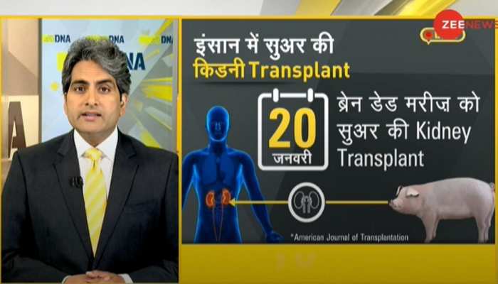 Current Science News Hindi, Latest Tech Headlines Hindi, ज्ञान-विज्ञान ...