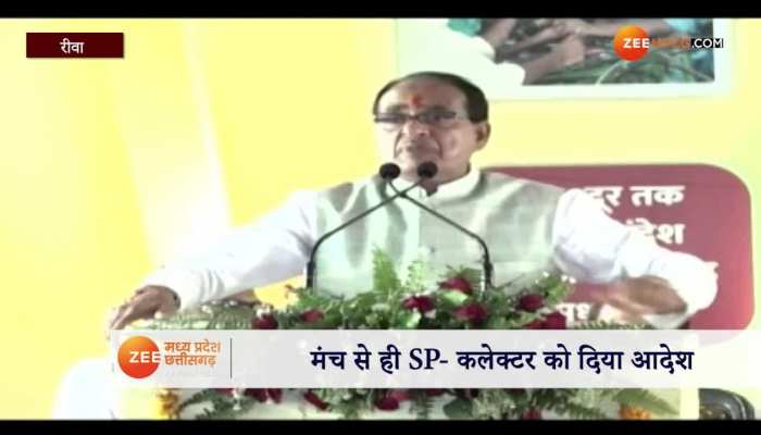 Zee Madhya Pradesh, Chhattisgarh Live News TV: Watch Live ZeeMPCG ...