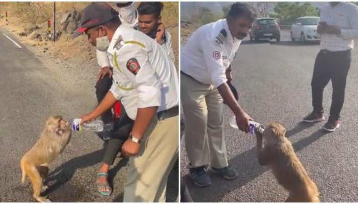 Urdu News Video, Latest Urdu news, Breaking News Video in Urdu | Zee Salaam