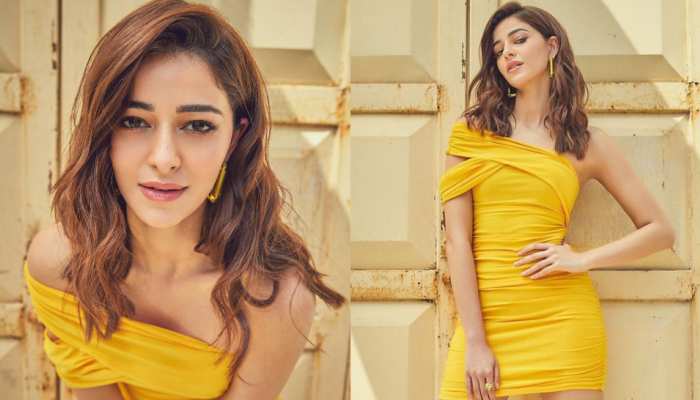 Know About Jimmy Sheirgill wife Priyanka Puri who is no less than an ...