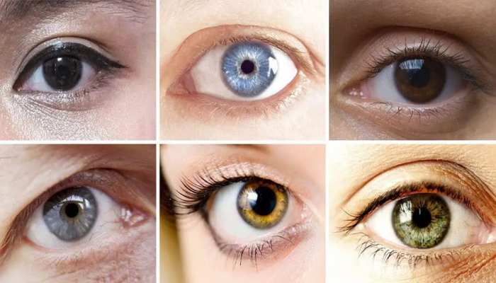 Aradhana Sharma Bikini Photos taarak mehta ka ooltah chashmah fame ...