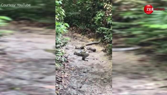 indian kids play with real life snakes fight like brother sister saanp ...