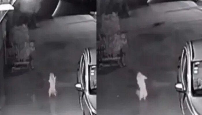 Cuttack SCB Medical Case Security Guard Suspended | କଟକ ବଡ଼ ମେଡିକାଲ ...