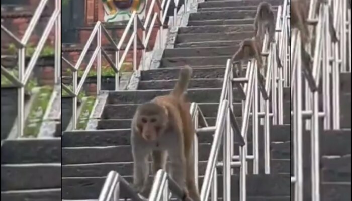 Sawan 2023 Shiva Mahadev blessings always shower on these zodiac signs ...