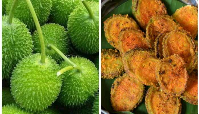 Zee News: Latest News, Live Breaking News, Today News, India Political ...