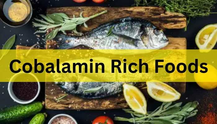 Zee News: Latest News, Live Breaking News, Today News, India Political ...