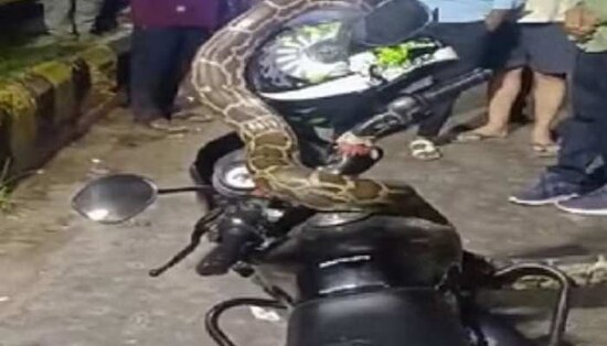 Snake Video 8 feet python suddenly entered truck cabin noida pari chowk ...
