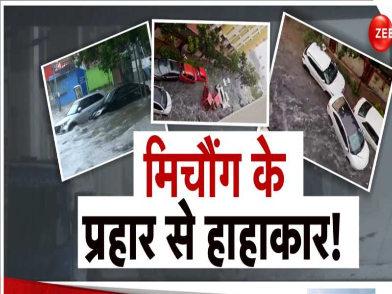 घर में लगा लें ये वाला पौधा इतने नोट बरसेंगे कि थक जाएंगे नोट गिनते