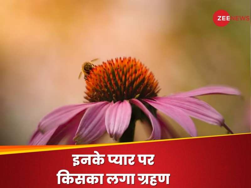 Current Science News Hindi, Latest Tech Headlines Hindi, ज्ञान-विज्ञान ...