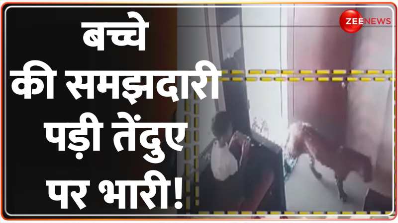 urfi javed revealing look in different bras flaunts with supersexy ...