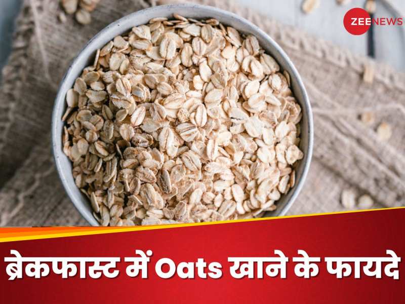 Mallika Sherawat flaunts curves in bikini at 46 Mallika Sherawat boldest look viral on internet ...