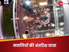 Current Science News Hindi, Latest Tech Headlines Hindi, ज्ञान-विज्ञान ...