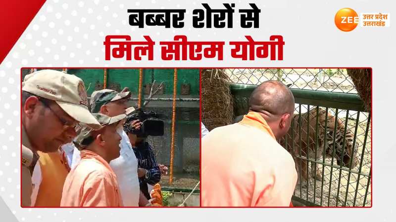 Entertainment urfi Javed Hide breasts with hand shape stickers video ...