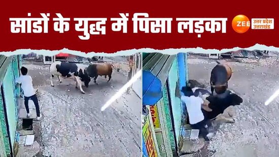 Ghaziabad Loni Border Bull Fight injured youth saand ki ladai ka CCTV ...