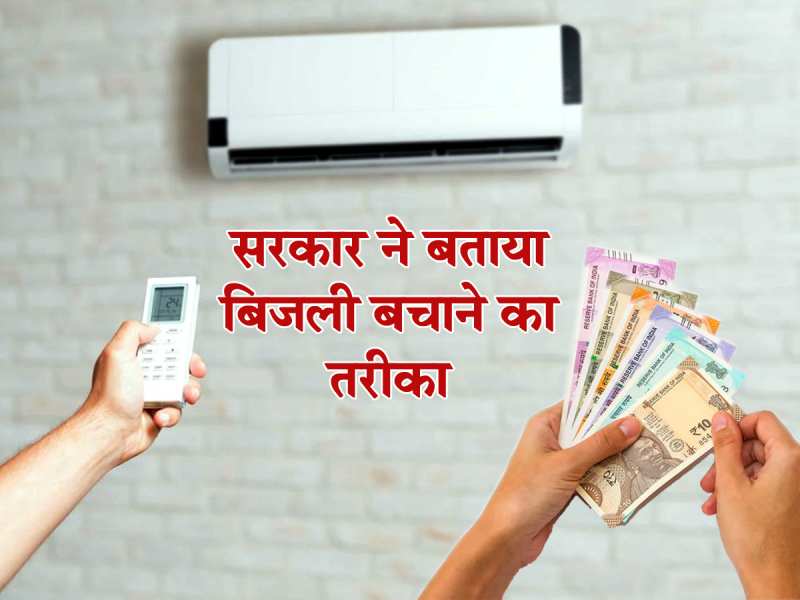 घर में लगा लें ये वाला पौधा इतने नोट बरसेंगे कि थक जाएंगे नोट गिनते