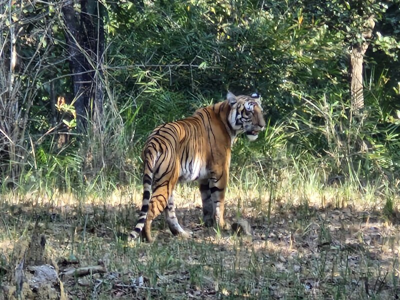 Sanatan Dharma Know About Hindu Gotra How many gotras are there in ...