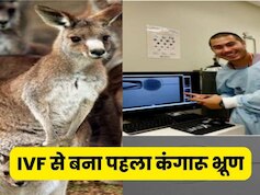 Kangaroo की ताज़ा खबरे हिन्दी में | ब्रेकिंग और लेटेस्ट न्यूज़ in Hindi ...