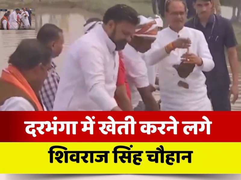 marriage first night video couple celebrating Suhagrat seen captured phone watch viral video ...