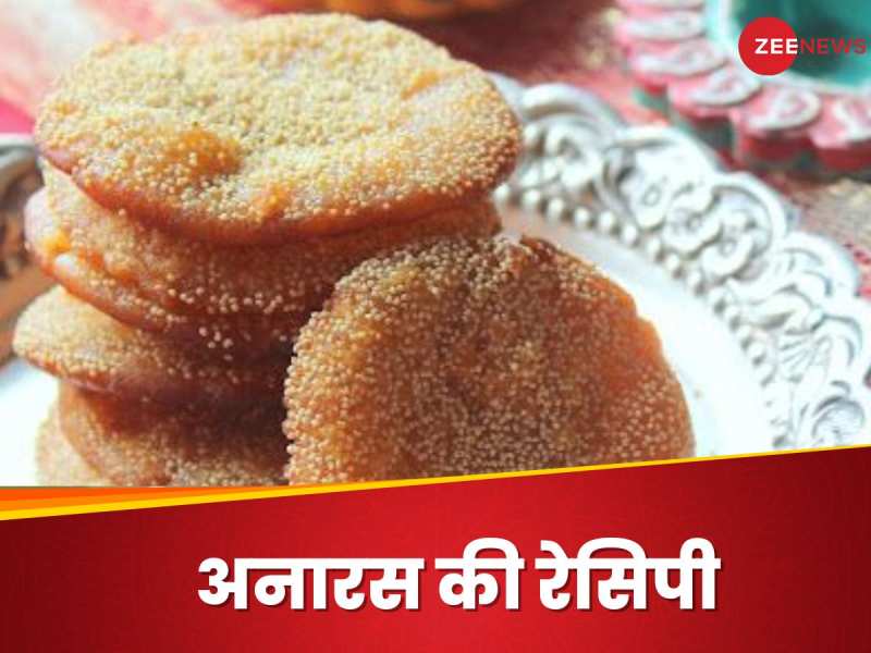 What is the difference between mule and donkey khachhar aur gadhe me ...