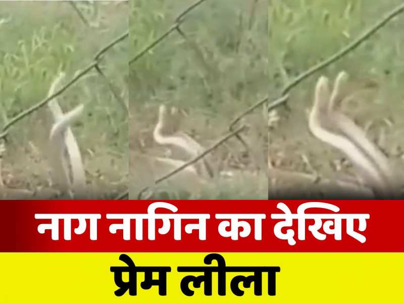 marriage first night video couple celebrating Suhagrat seen captured phone watch viral video ...