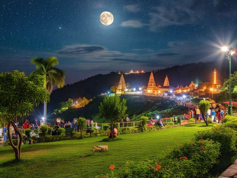 Pregnant Dipika Kakar First Husband Raunak Samson where is he after ...