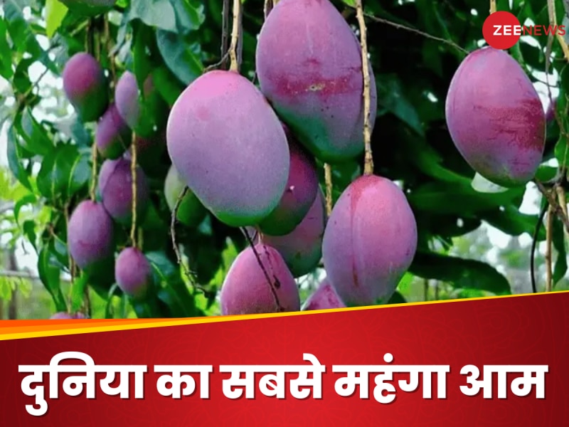 rashi swami of all rashis from mesh to meen | Rashi Swami : मेष से मीन ...