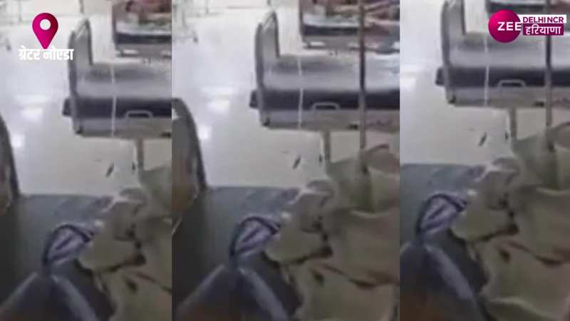 haryana Tendua Video Dead leopard found in Panchkula news | Tendua ...