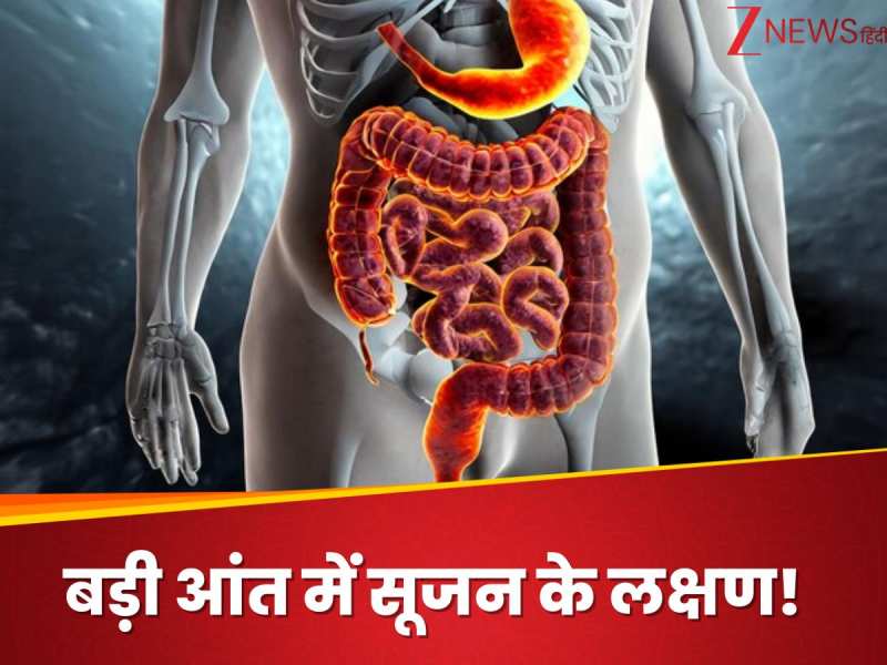 large intestine in hindi