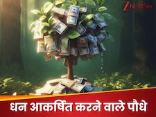 rashi swami of all rashis from mesh to meen | Rashi Swami : मेष से मीन ...