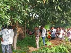 Jamui News in Hindi: जमुई समाचार, Jamui Bihar Crime News, जमुई की ताजा खबरें - ZEE News Bihar