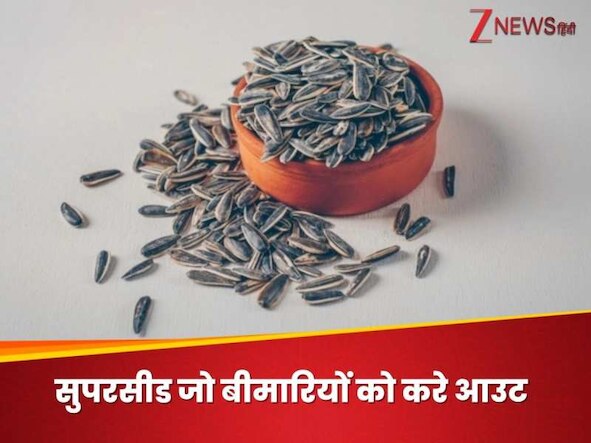 Sunflower की ताज़ा खबरे हिन्दी में | ब्रेकिंग और लेटेस्ट न्यूज़ in ...