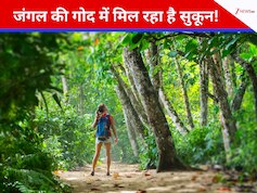 jungle की ताज़ा खबरे हिन्दी में | ब्रेकिंग और लेटेस्ट न्यूज़ in Hindi ...